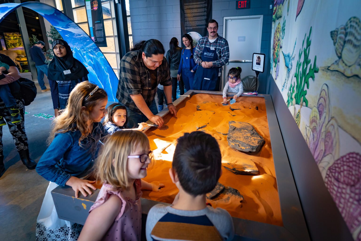 Certificate in Museum Studies – Ontario Museum Association